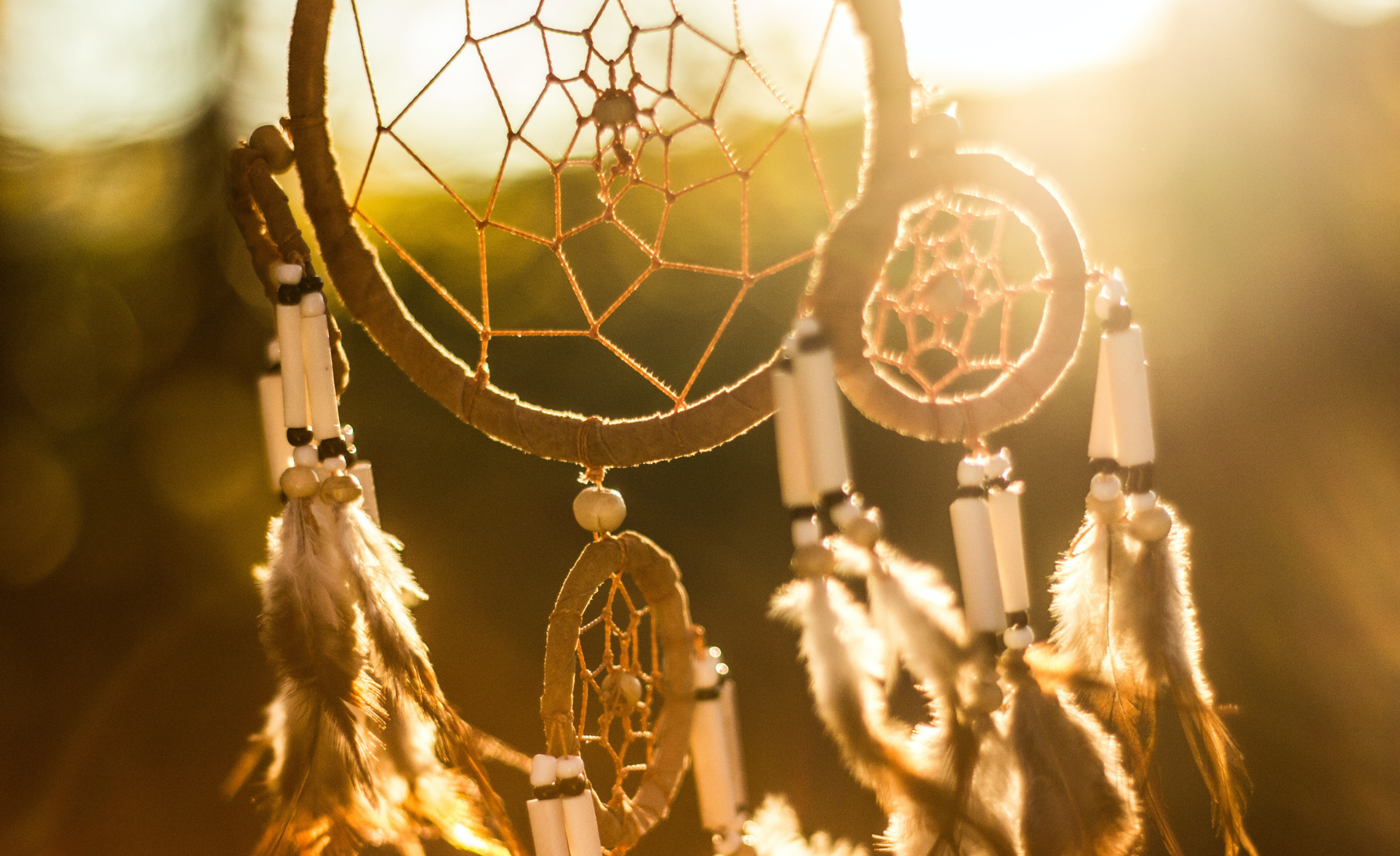 The Colors of the Night: Understanding the Roots of Vivid Dreams – Jihi